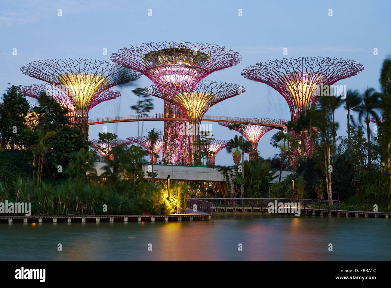Night view of The Supertrees Grove at Gardens by the Bay Stock Photo ...
