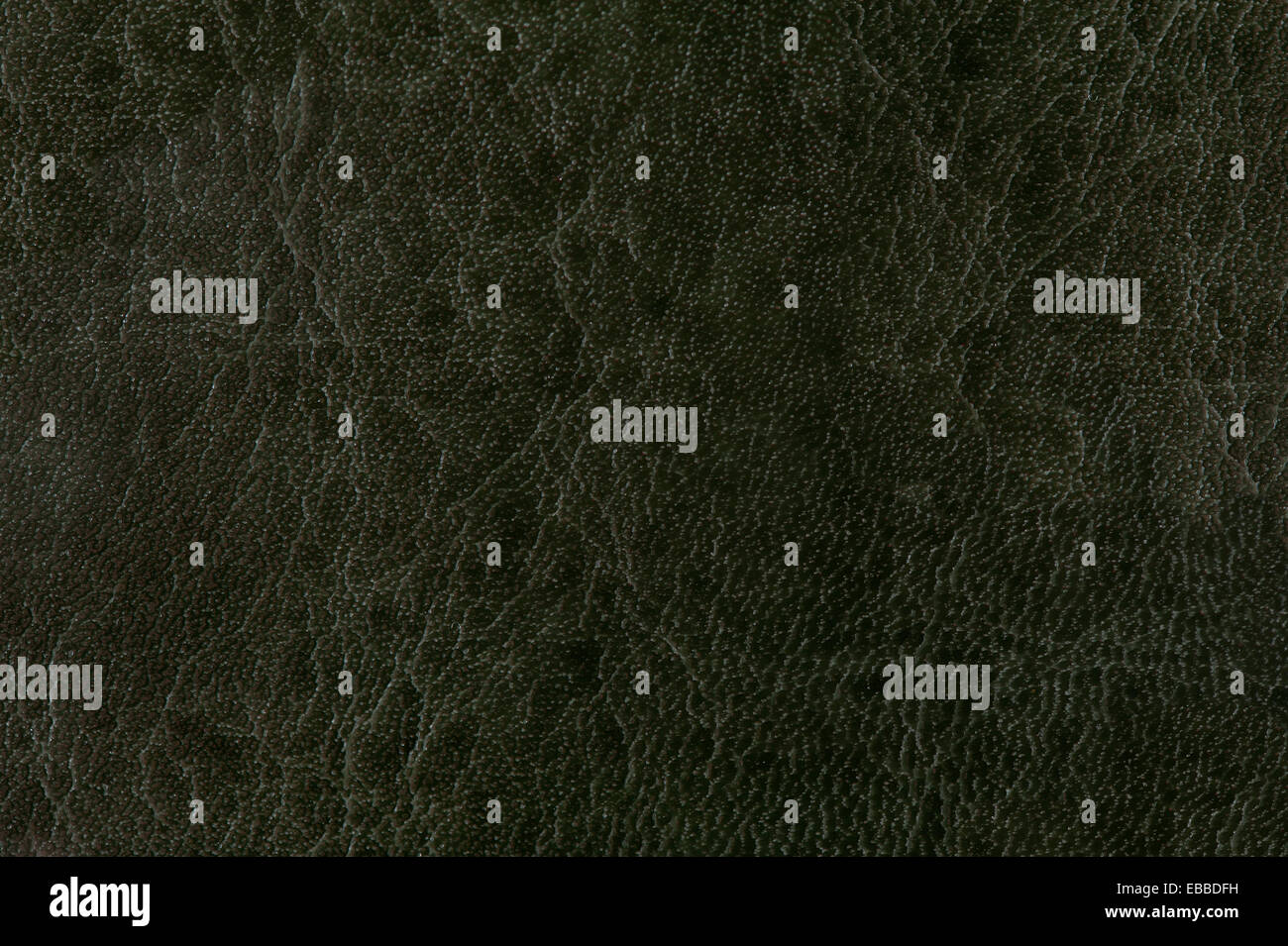 Green porous leather sheet texture Stock Photo - Alamy