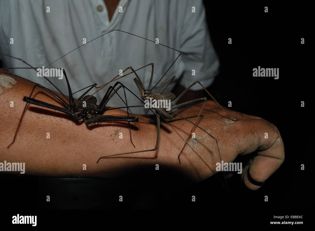 Destination blind hi-res stock photography and images - Alamy