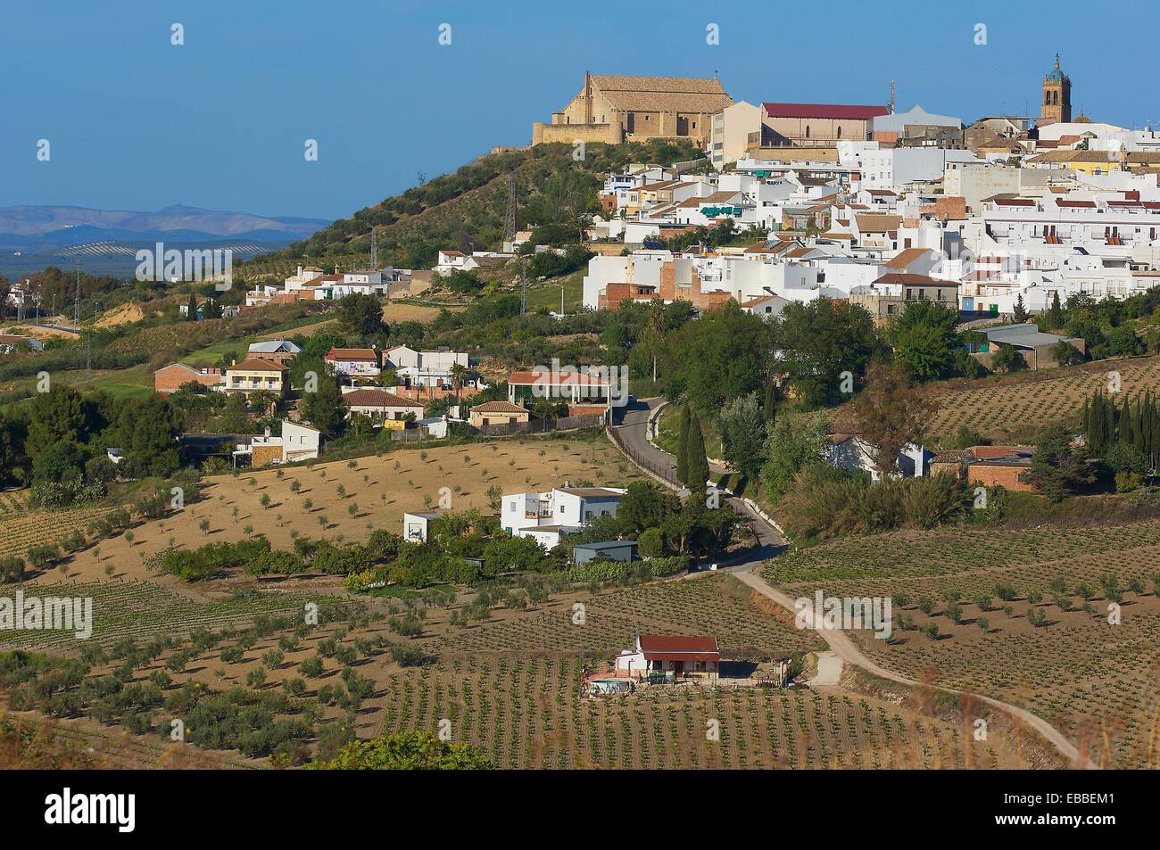 Montilla Spain High Resolution Stock Photography and Images - Alamy