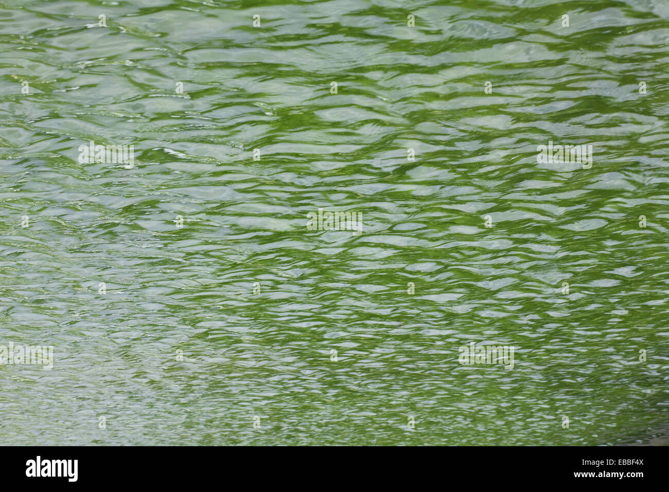 ripple on water at day Stock Photo - Alamy
