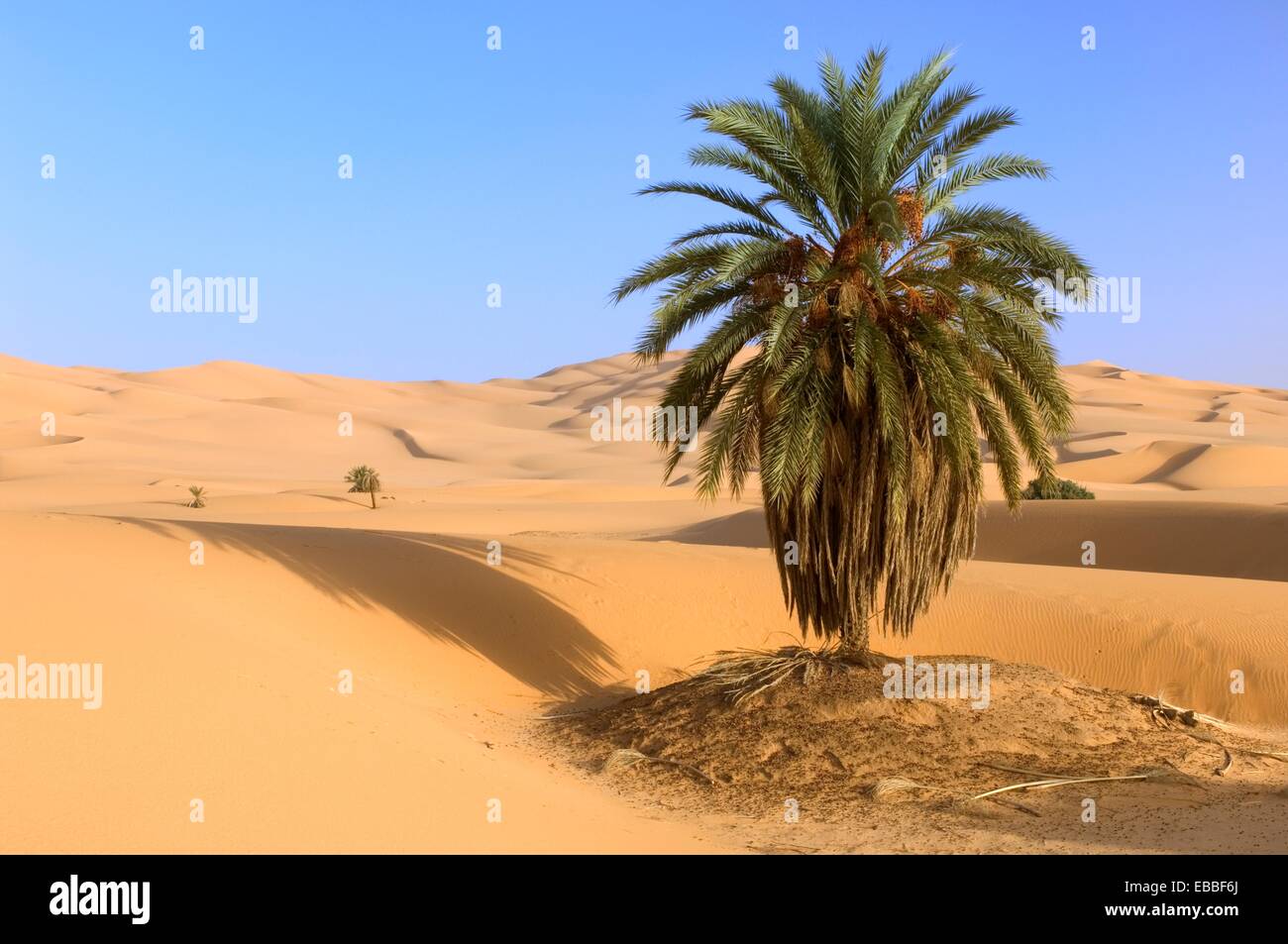 Libyan Arab Jamahiriya High Resolution Stock Photography and Images - Alamy
