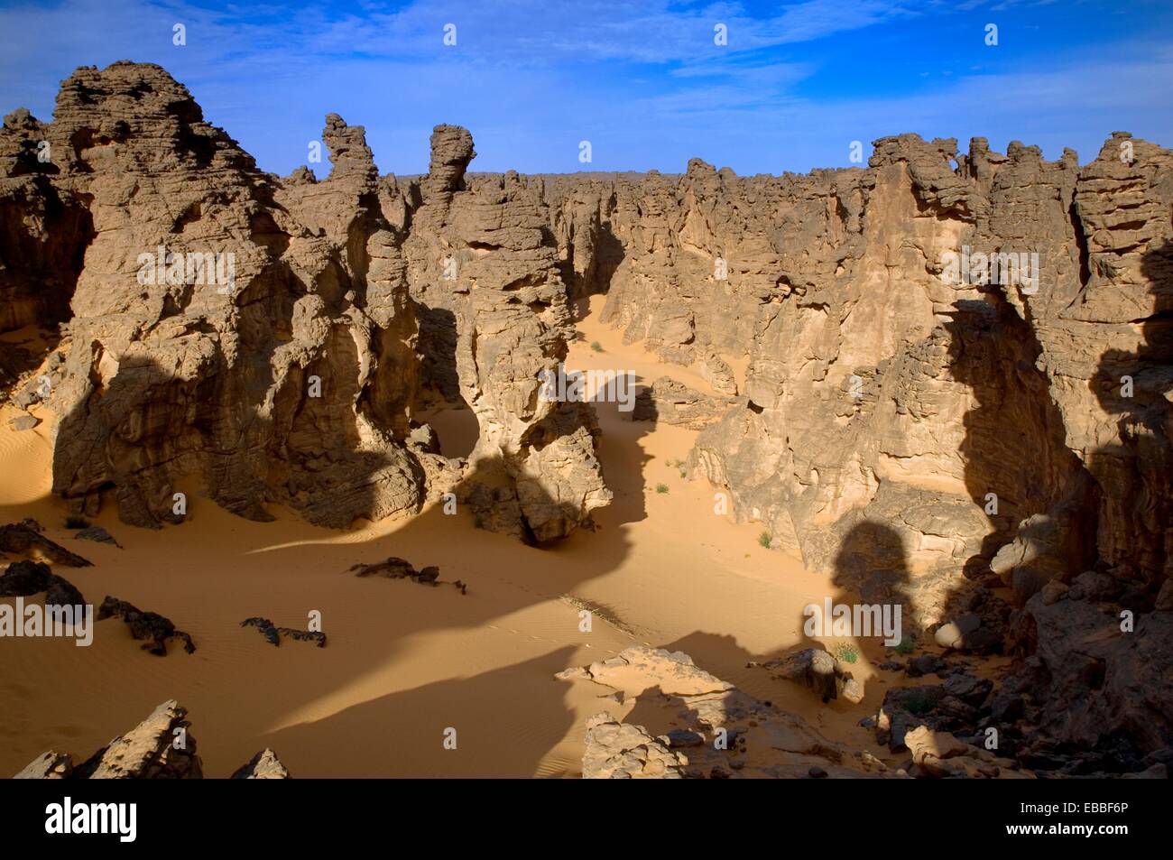 Libya forest hi-res stock photography and images - Alamy