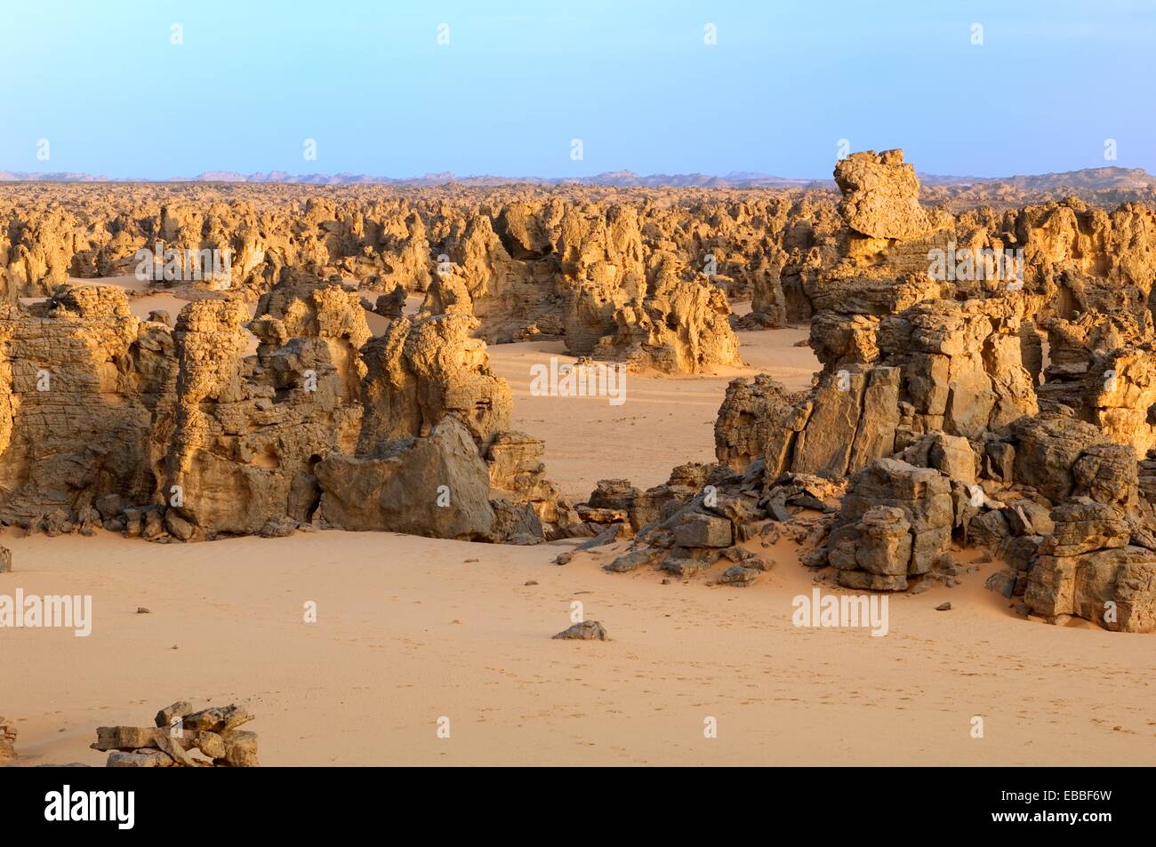 Libya forest hi-res stock photography and images - Alamy