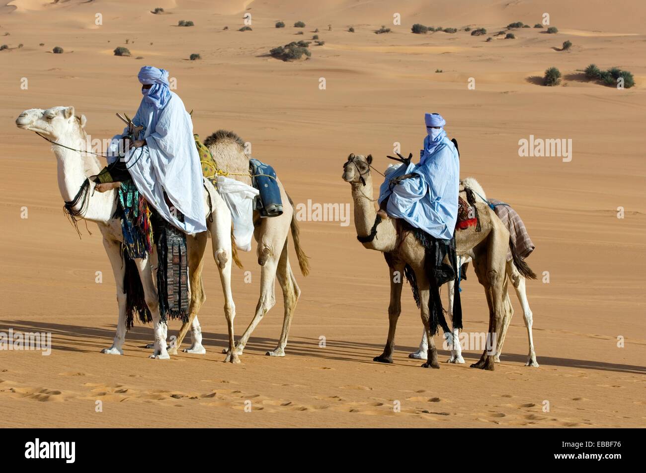 Tuaregs Riding Camels High Resolution Stock Photography and Images - Alamy