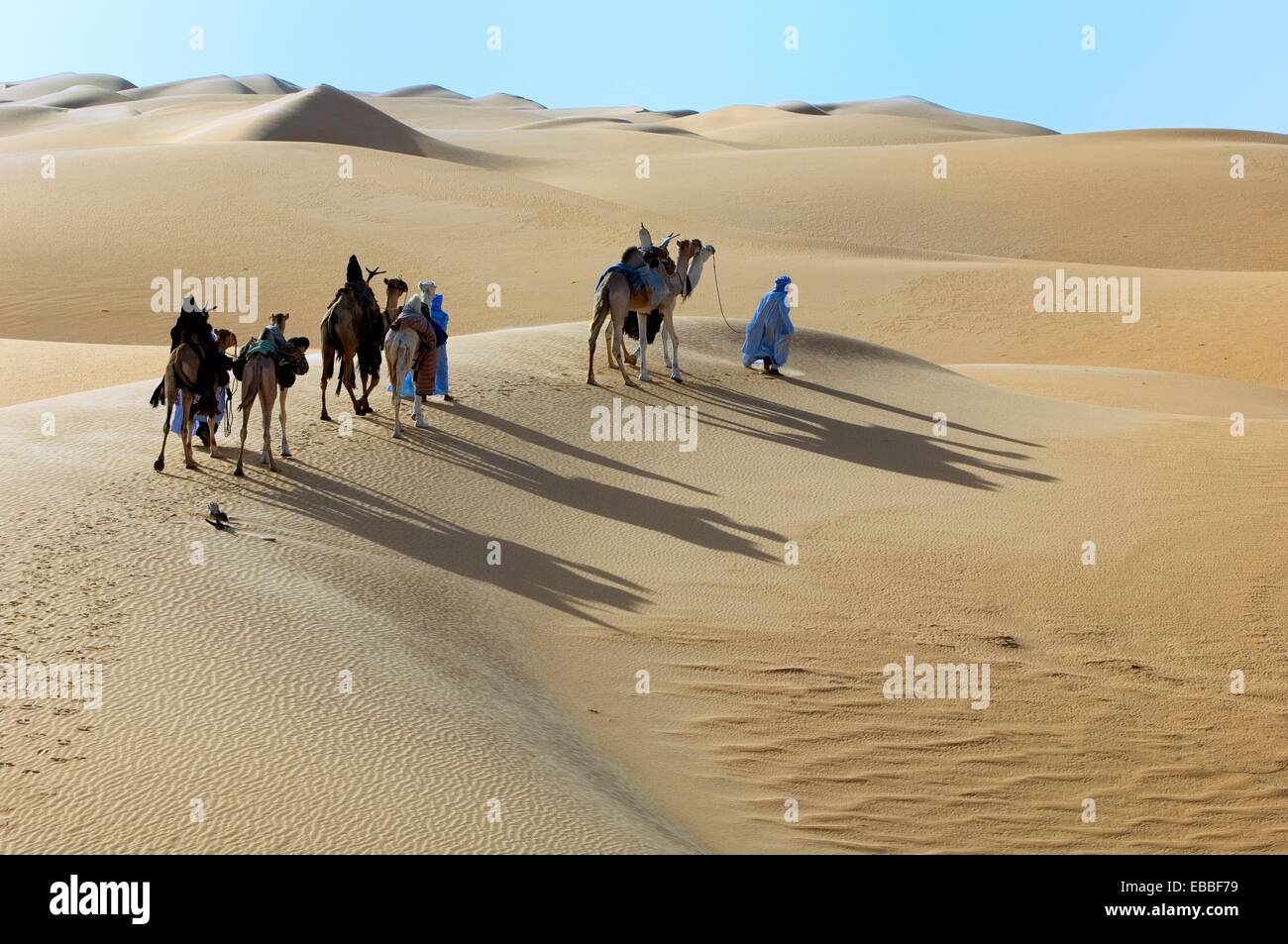 Tuaregs her camels hi-res stock photography and images - Alamy