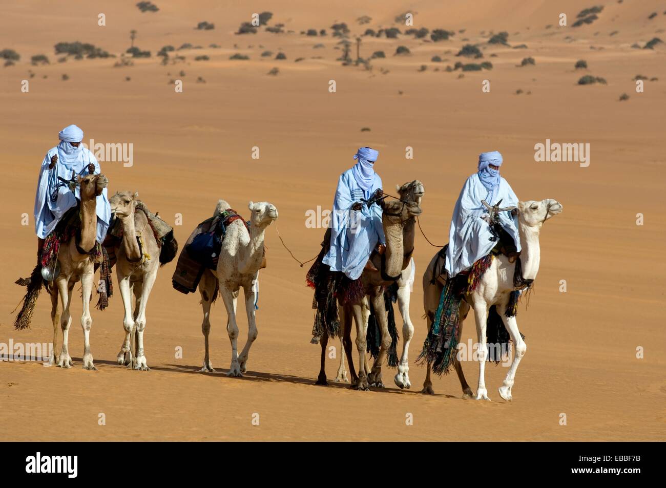 Tuaregs Riding Camels High Resolution Stock Photography and Images - Alamy