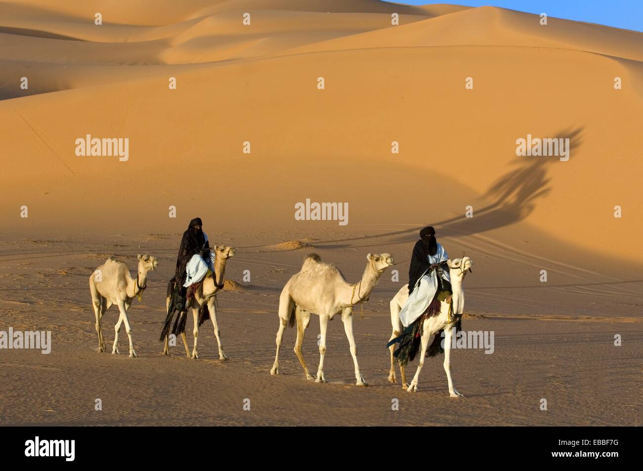 Tuaregs riding camels hi-res stock photography and images - Alamy