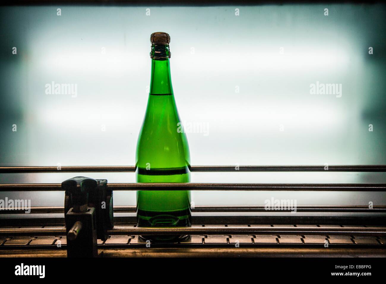 Wine and Cava bottling line Winemaking in the largest wine region of ...