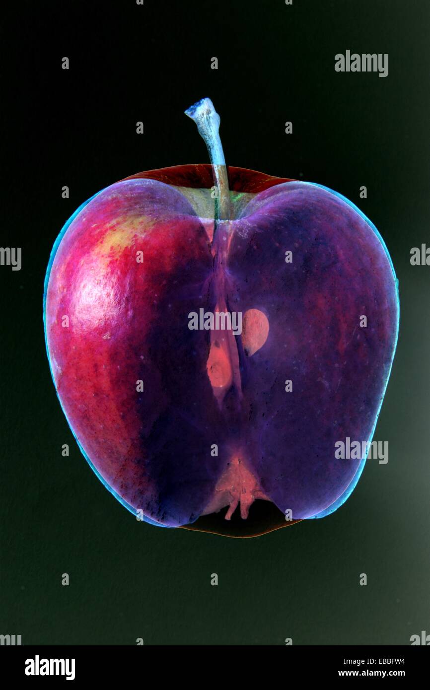 Food, x ray hi-res stock photography and images - Alamy