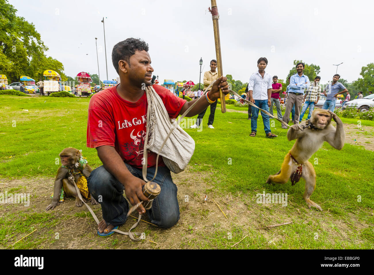 Monkey Man Of Delhi High Resolution Stock Photography and Images - Alamy