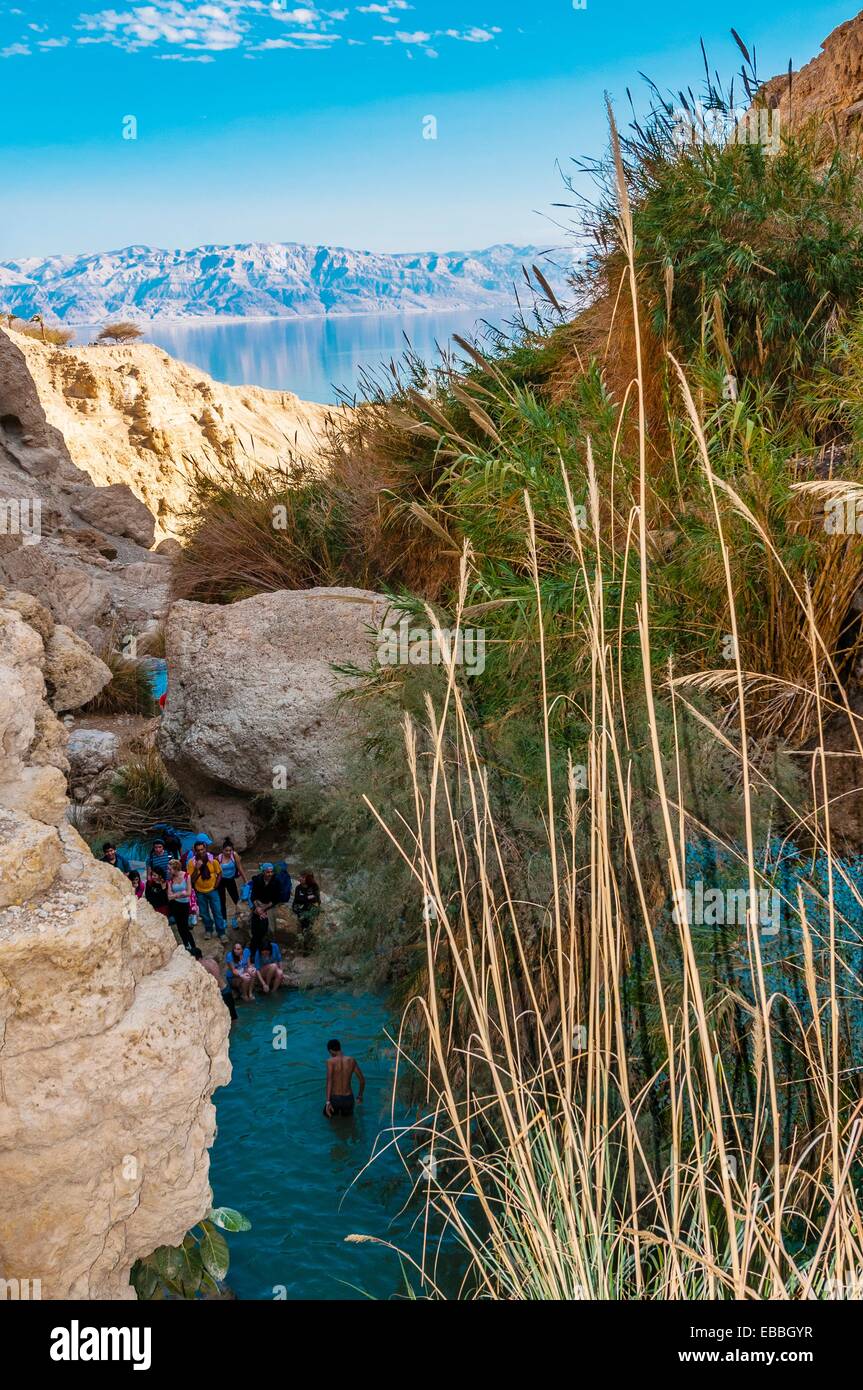 En Gedi High Resolution Stock Photography and Images - Alamy