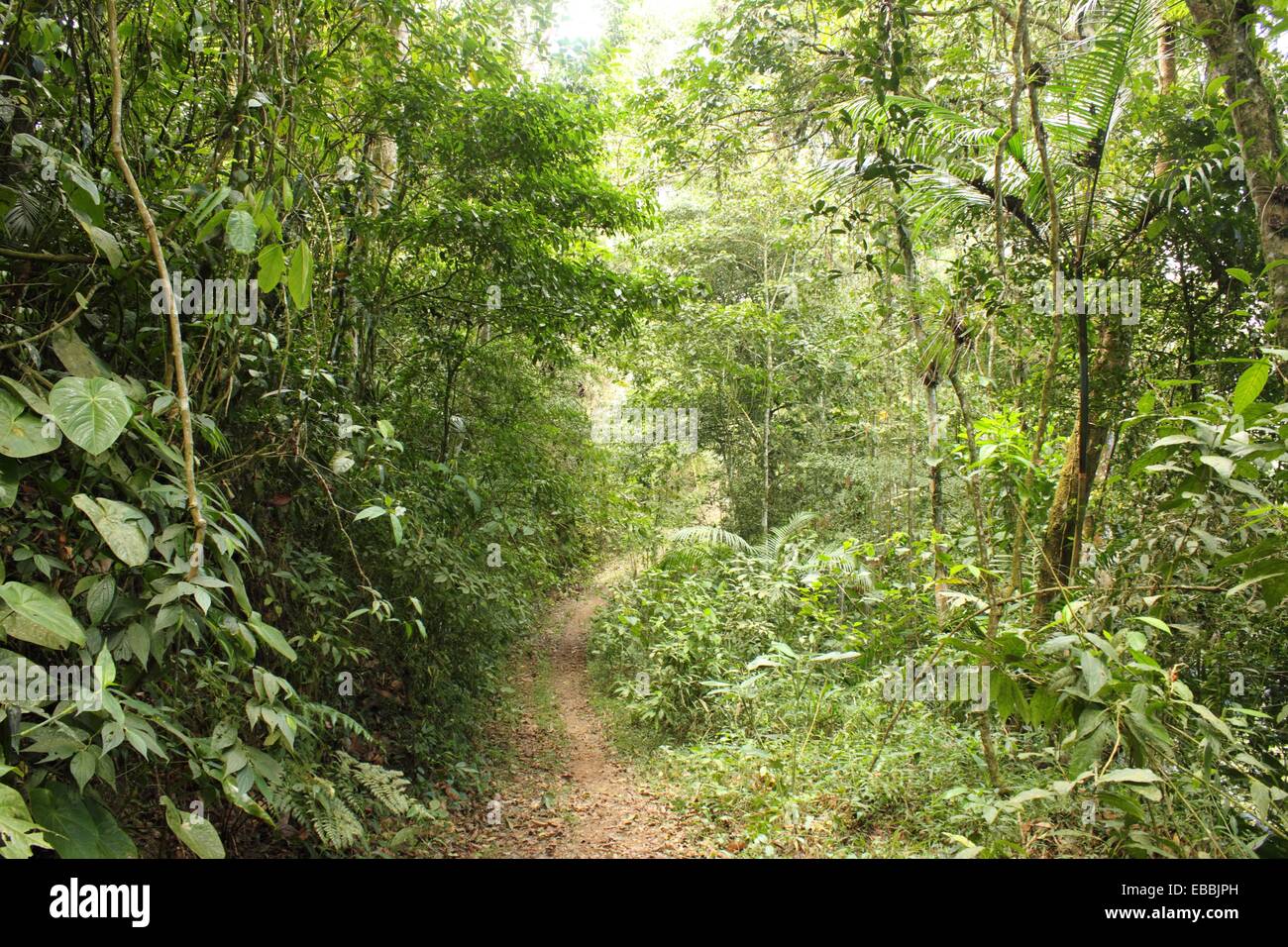 Hotspot evolution hi-res stock photography and images - Alamy