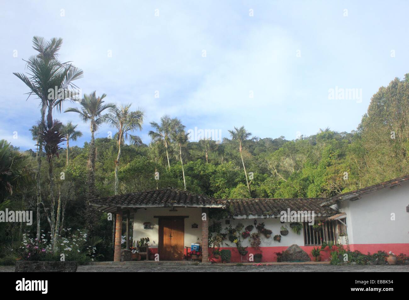 Global butterfly species diversity hi-res stock photography and images ...