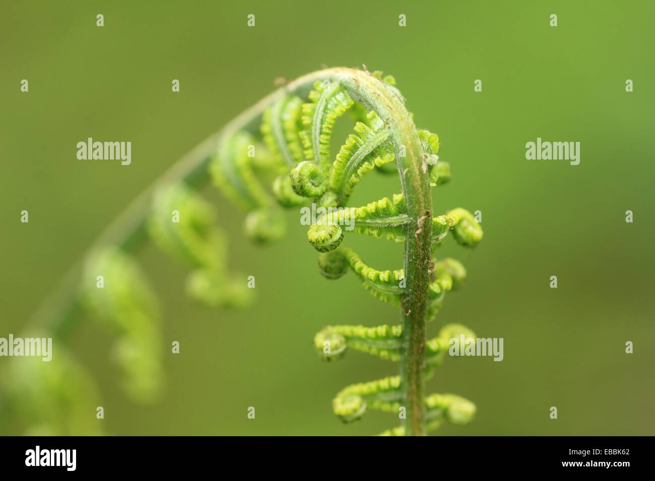Hotspot evolution hi-res stock photography and images - Alamy