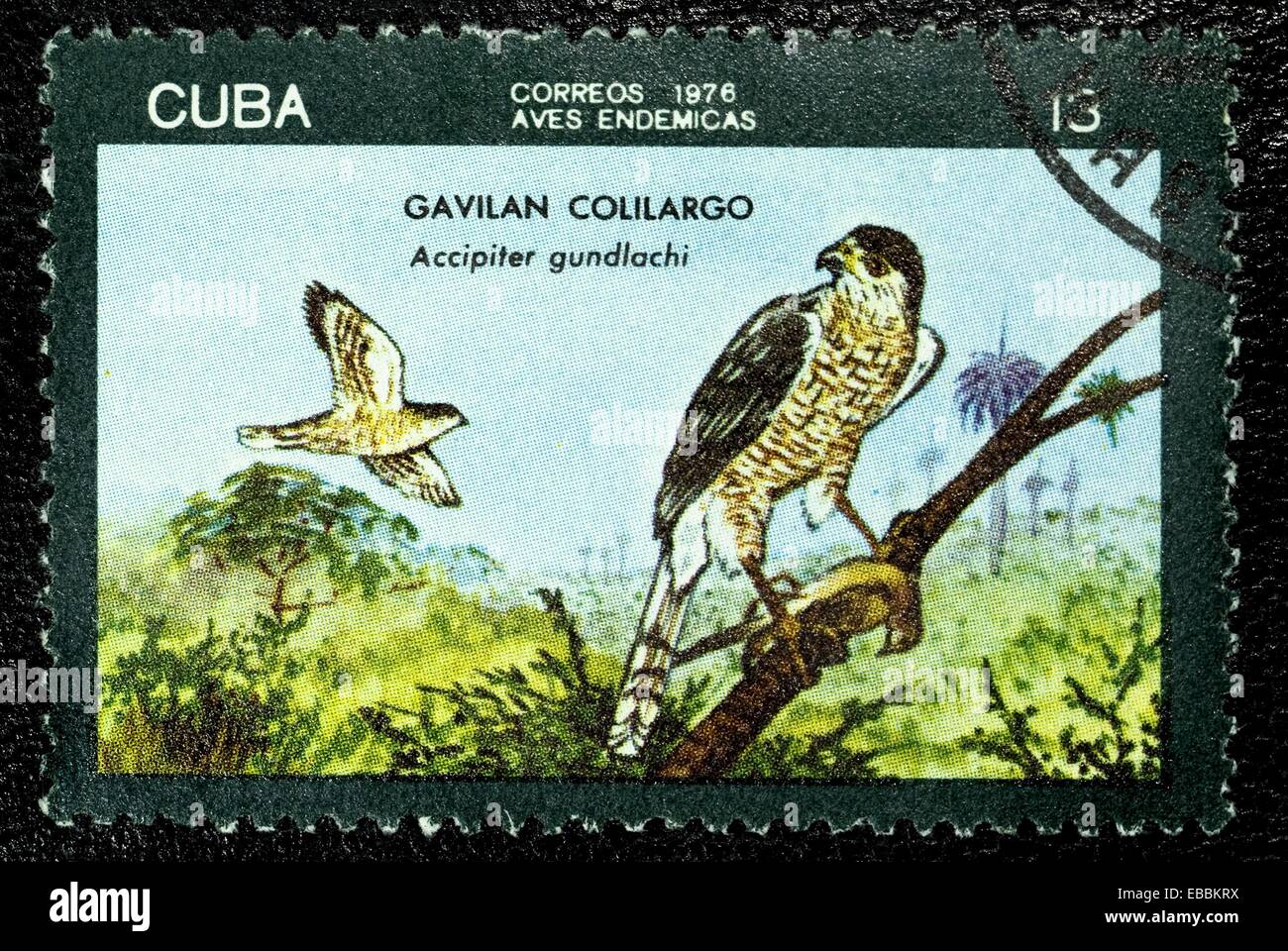 Gundlach High Resolution Stock Photography and Images - Alamy