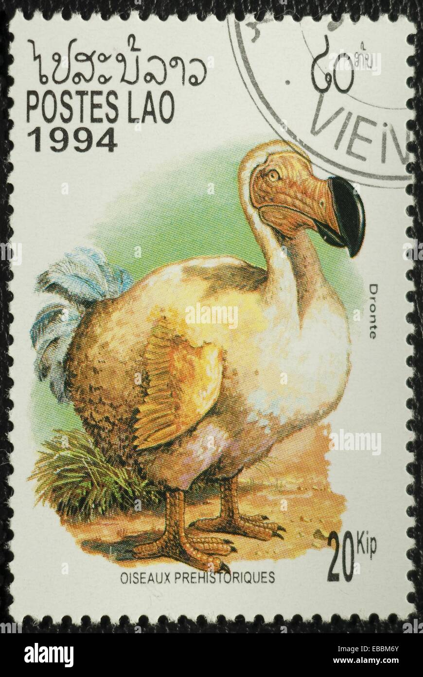 Raphus cucullatus dodo hi-res stock photography and images - Alamy