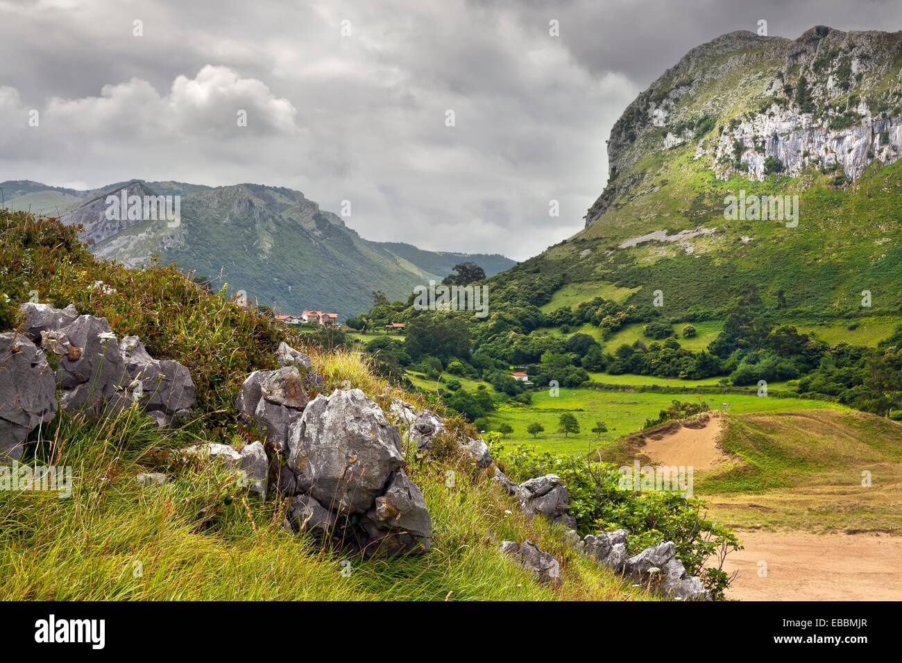 Cardina hi-res stock photography and images - Alamy