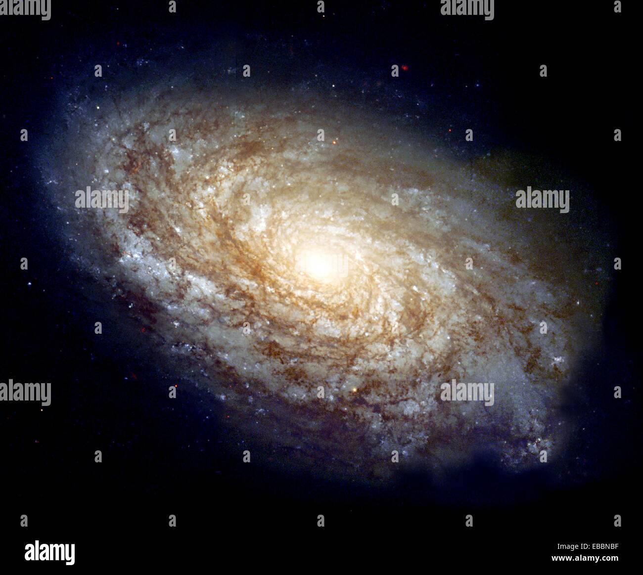 Extragalactic Astronomy Jobs