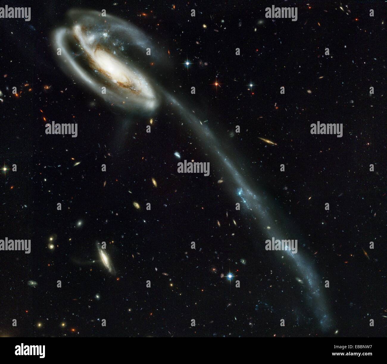 A ´wallpaper´ of distant galaxies is a stunning backdrop for a runaway ...