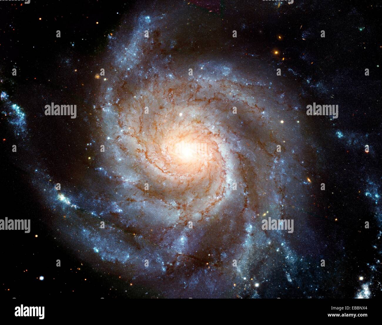 Pinwheel Galaxy Stock Photos & Pinwheel Galaxy Stock Images - Alamy
