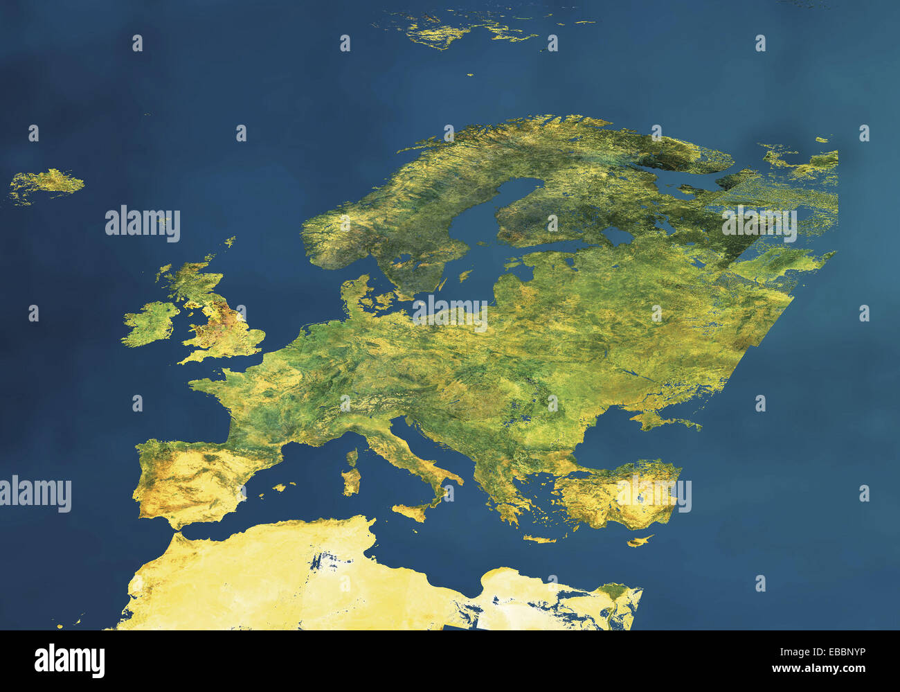A mosaic of true-colour land images taken by the Medium Resolution ...