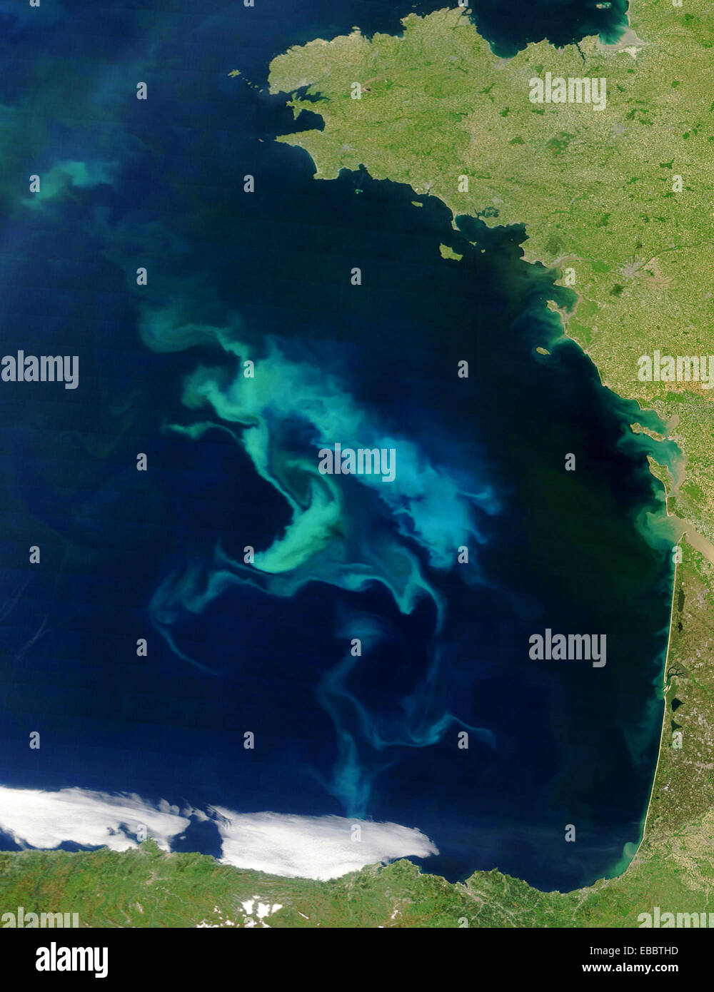 Phytoplankton ocean bloom hi-res stock photography and images - Alamy
