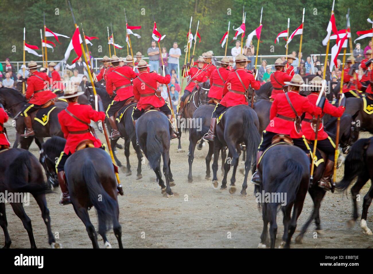 Horses with jackets hi-res stock photography and images - Alamy