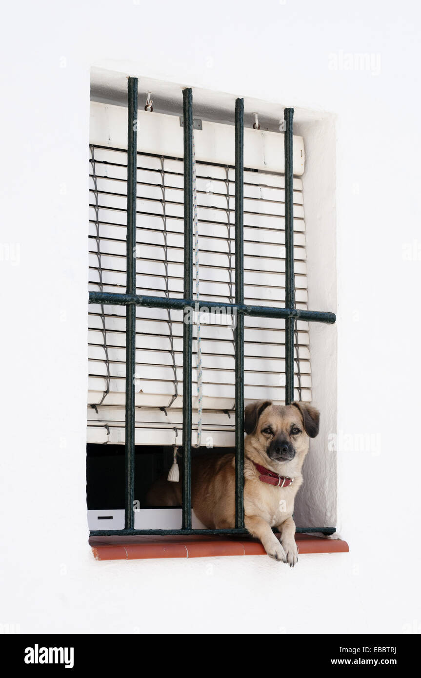 Window of seville Cut Out Stock Images & Pictures - Alamy
