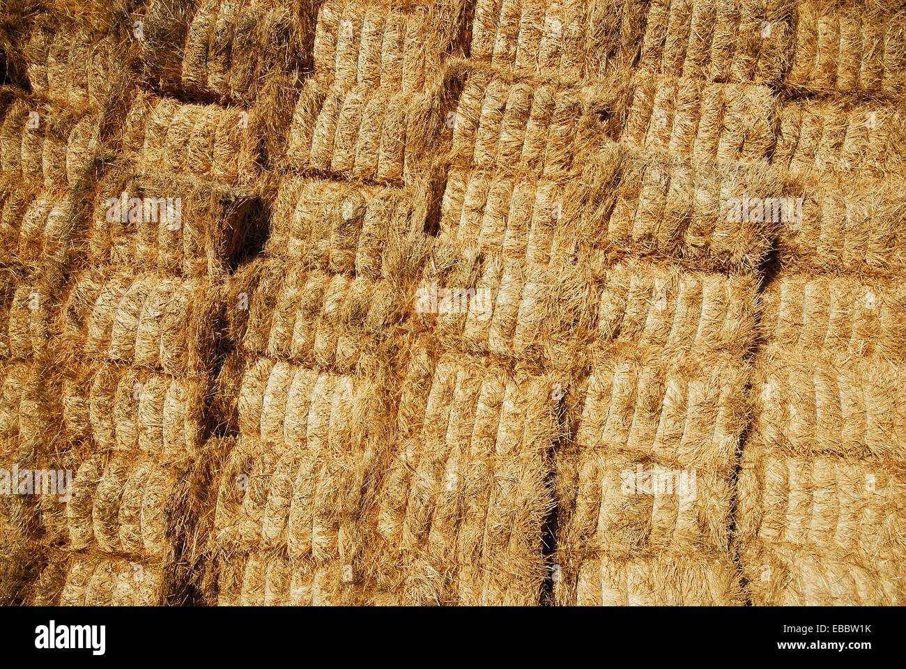 Strow bale hi-res stock photography and images - Alamy