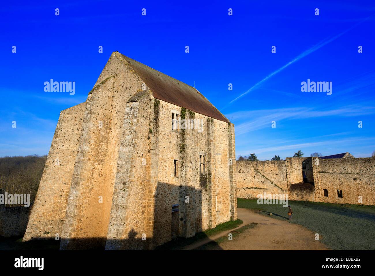 france,yvelines,Chevreuse valley,chevreuse : the Madeleine castle Stock ...