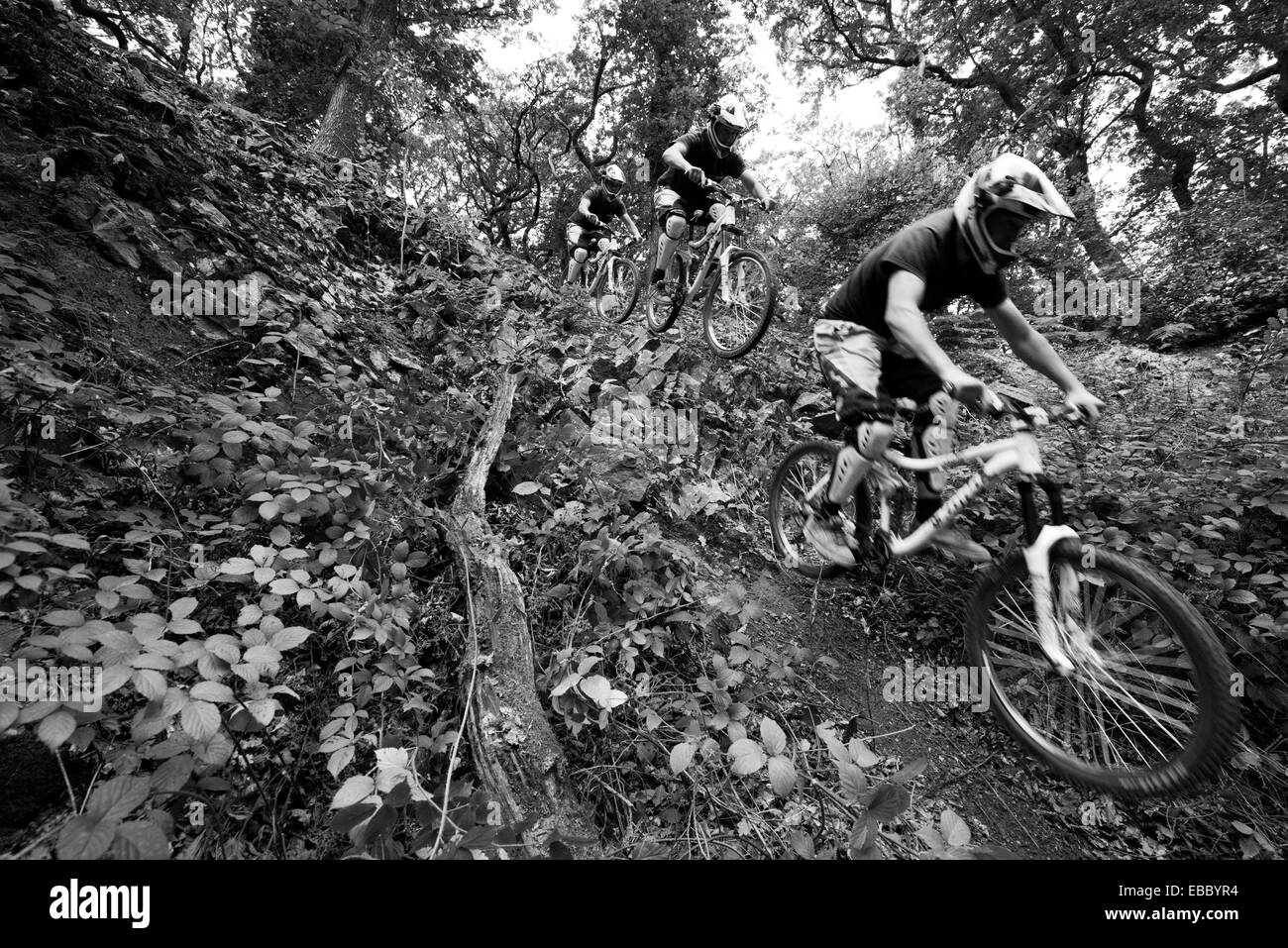 A steep drop in over rocks in Clyne Valley, Swansea, South Wales Stock ...
