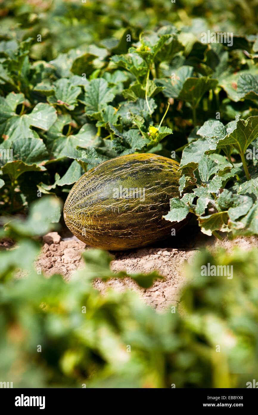 Waiting collection hi-res stock photography and images - Alamy