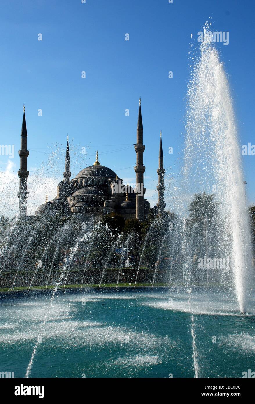 Blue mosque in istanbul Stock Photo - Alamy