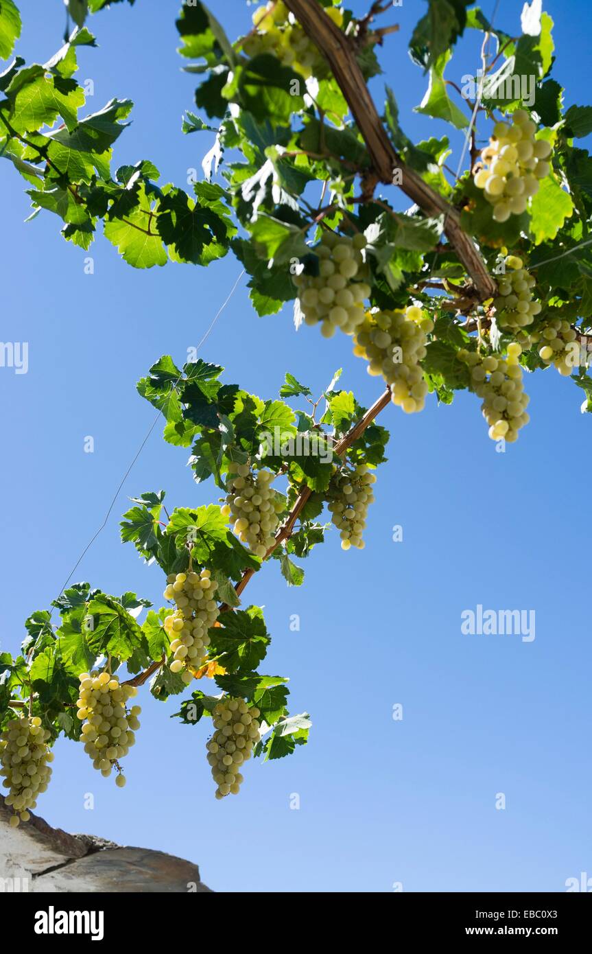 Pitting hi-res stock photography and images - Alamy