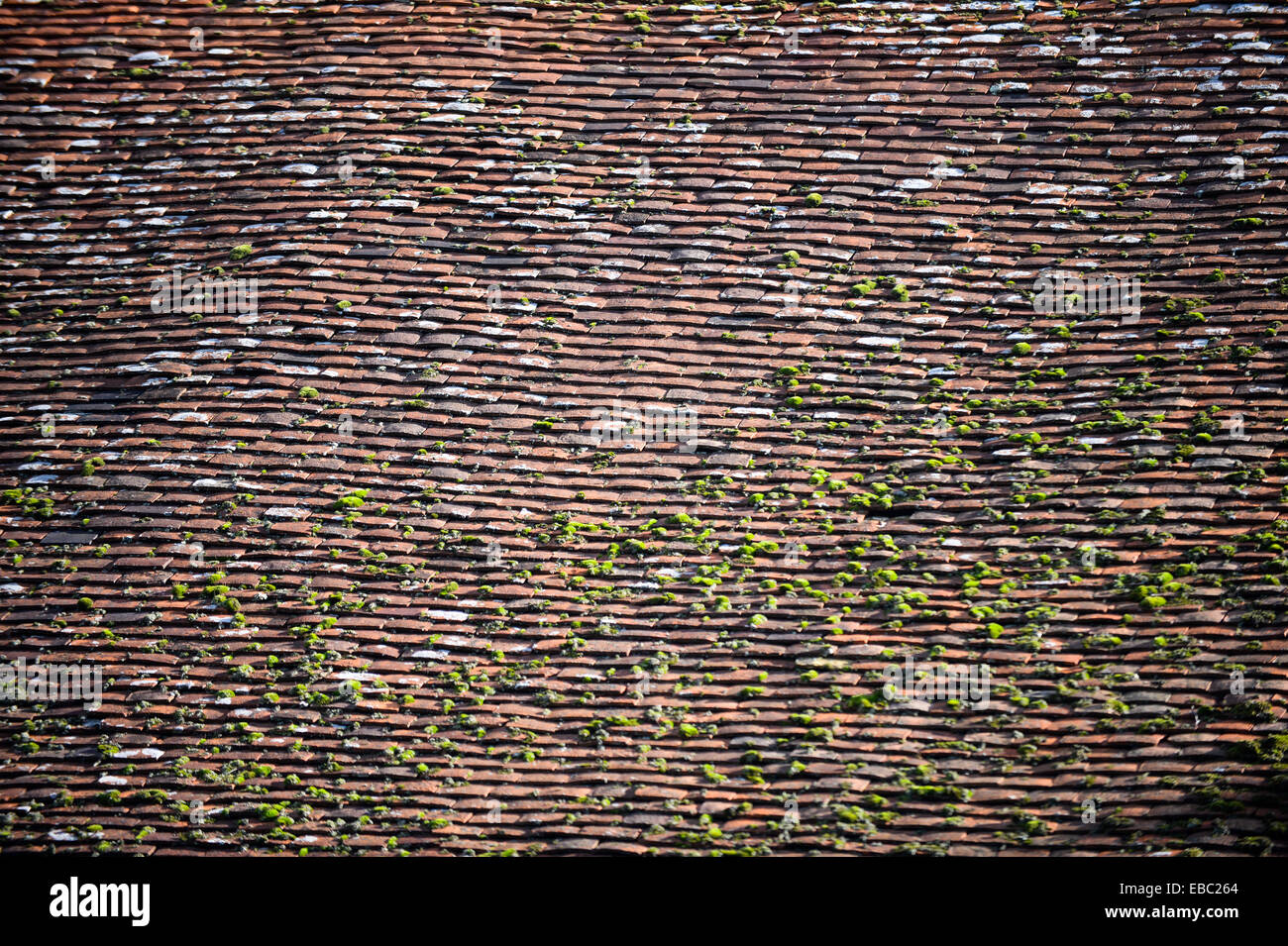Shale roof tiles hi-res stock photography and images - Alamy