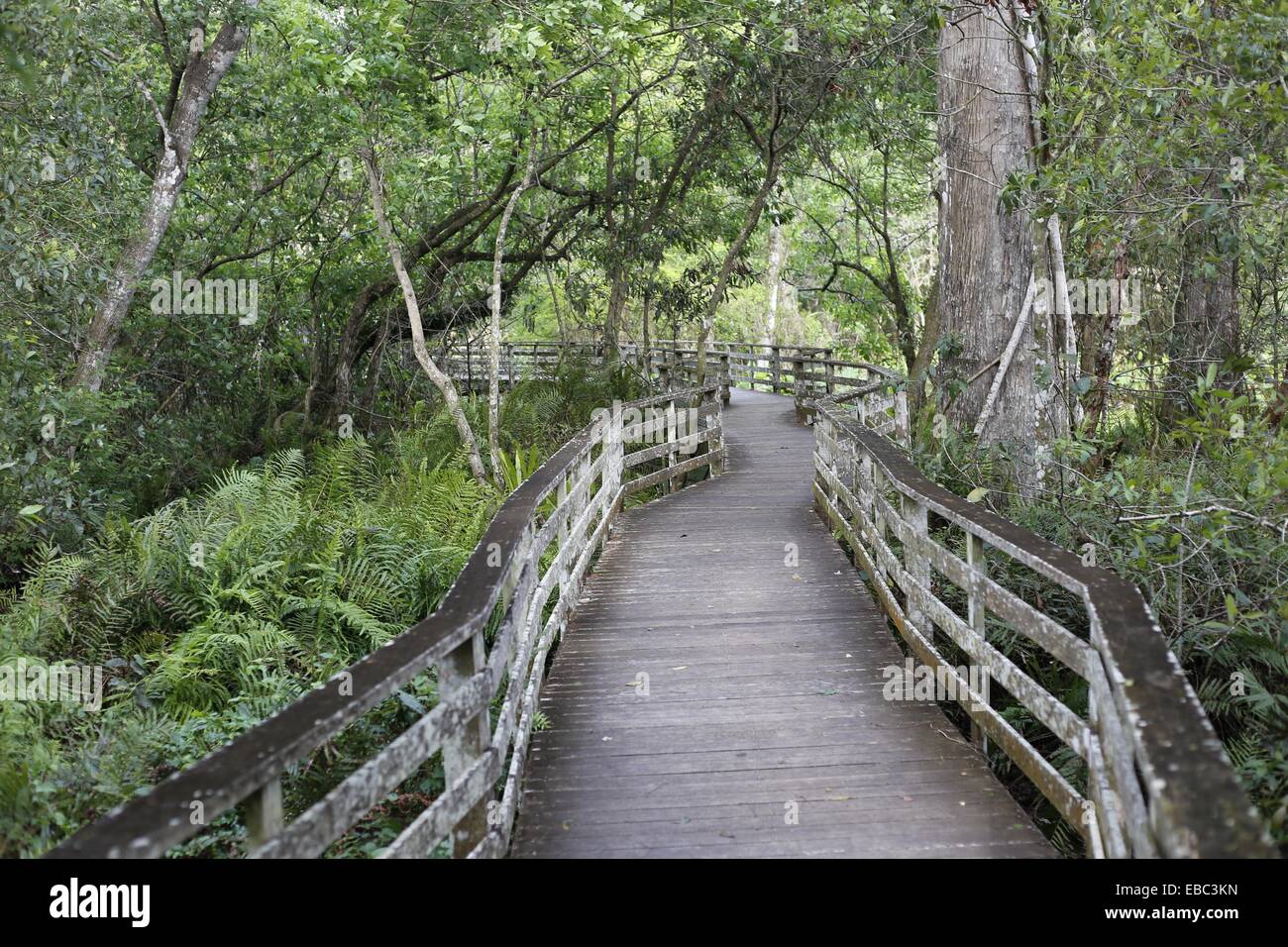 Naples 50s High Resolution Stock Photography and Images - Alamy