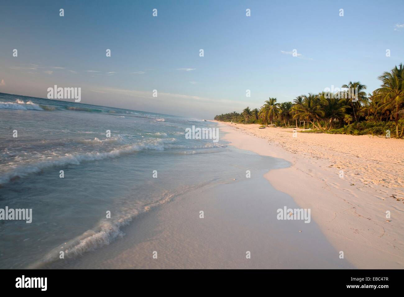 Tulum Beach, Mexican Caribbean, Riviera maya, México Stock Photo - Alamy