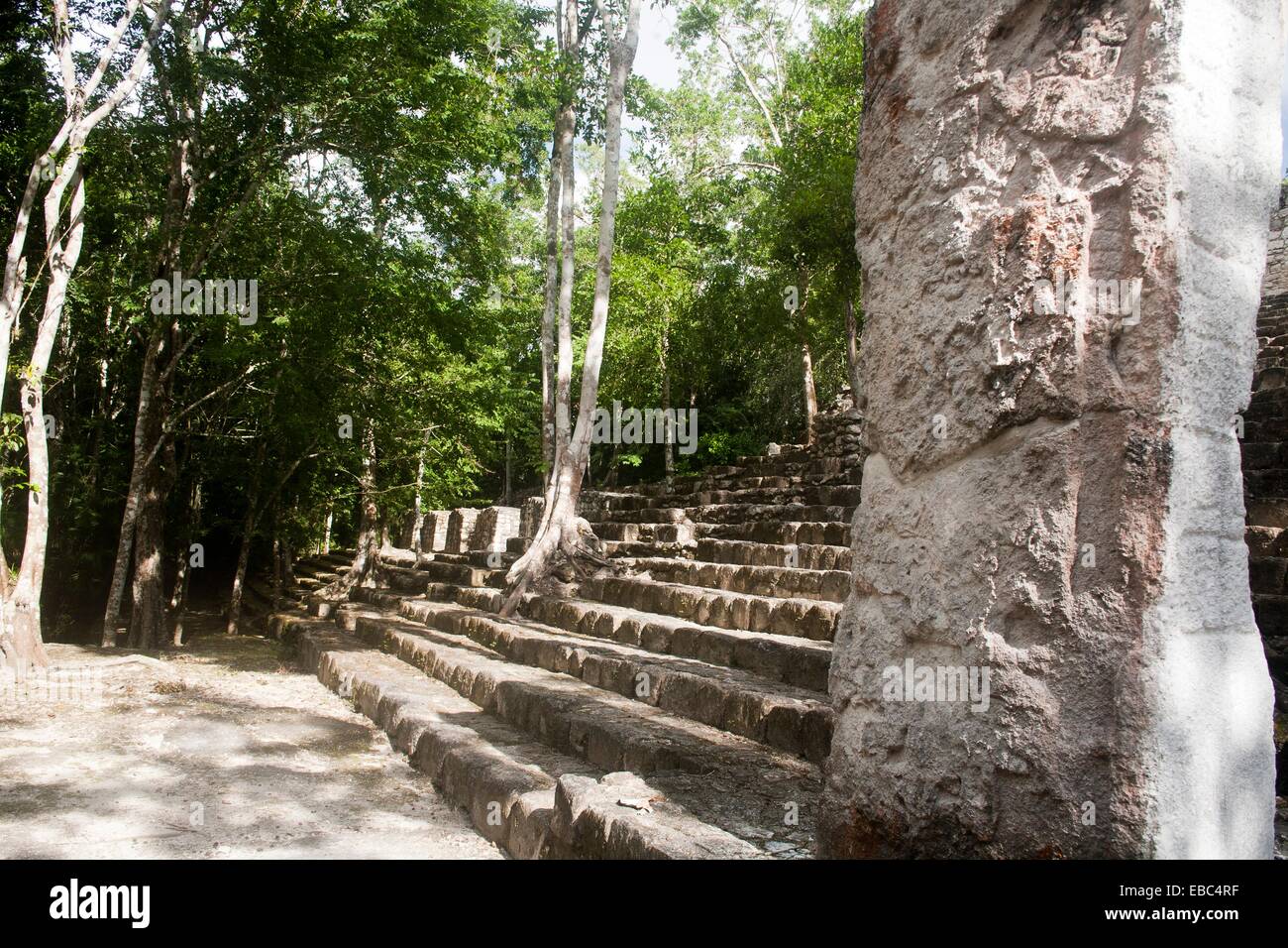 Ancient maya temple calakmul hi-res stock photography and images - Alamy