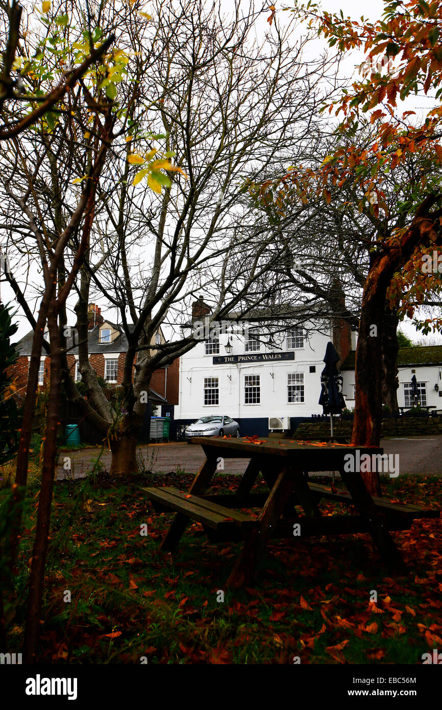 Prince of Wales, 73 Church Way, Oxford Job name: Iffley Villagel pub ...