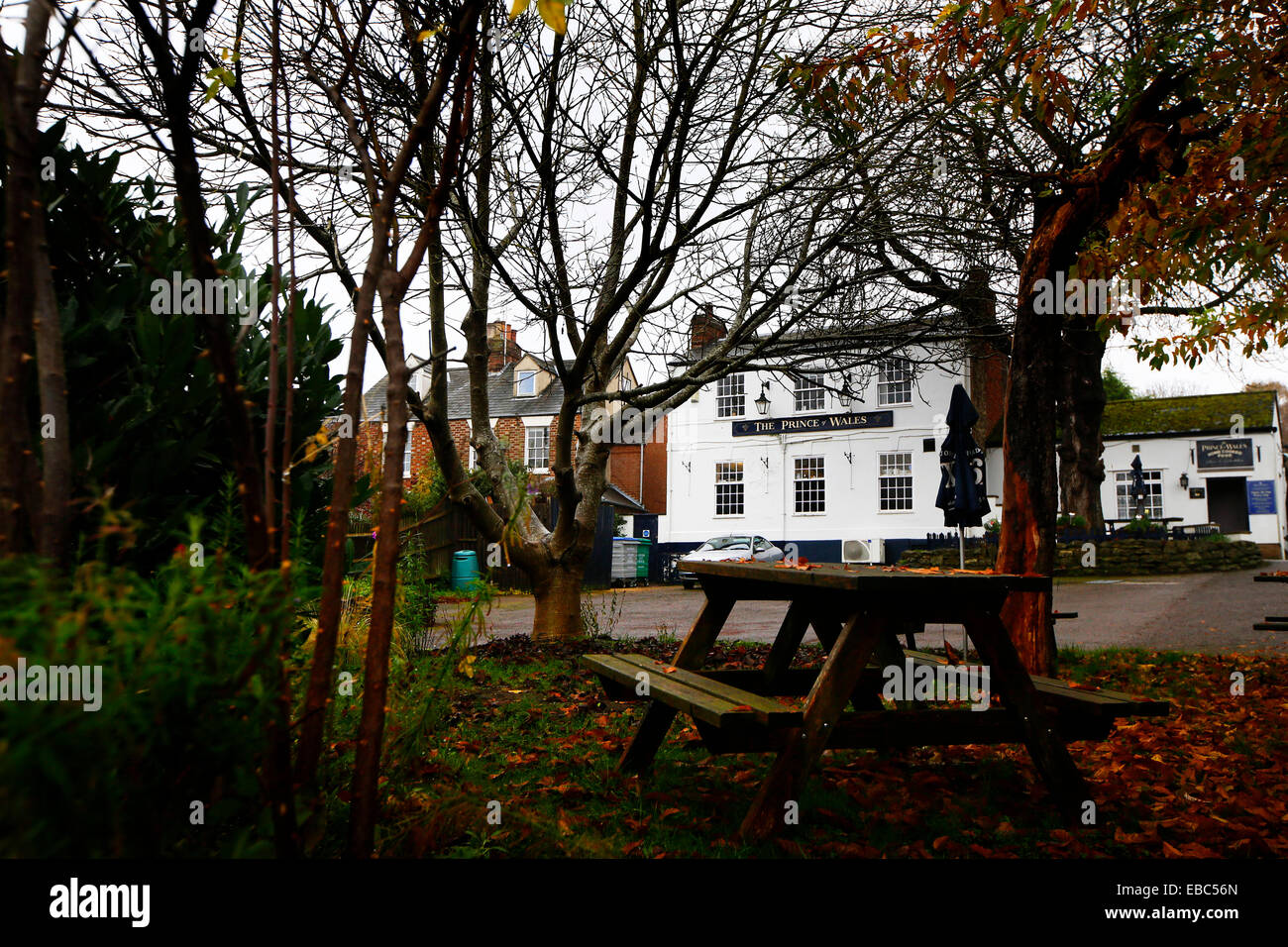 Prince wales oxford hi-res stock photography and images - Alamy