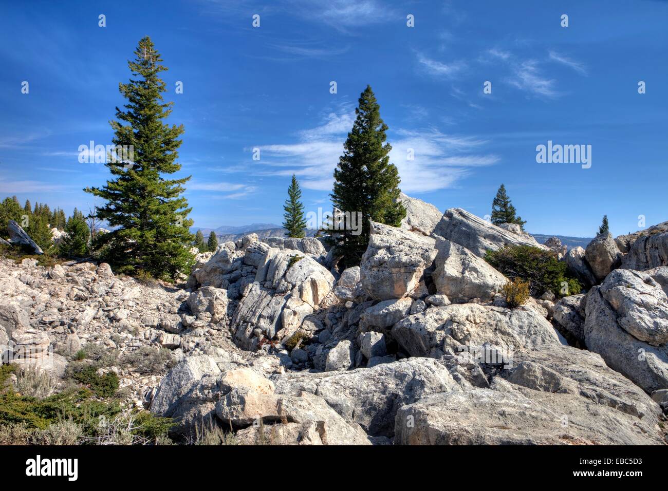 Silver gate hi-res stock photography and images - Alamy