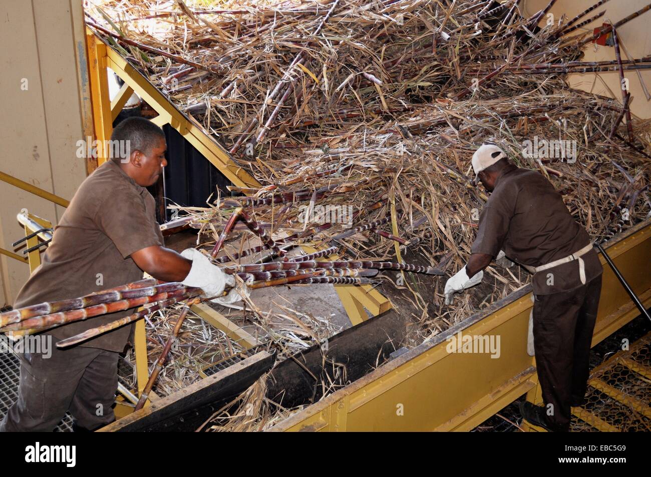 Rhumerie de chamarel mauritius hi-res stock photography and images - Alamy