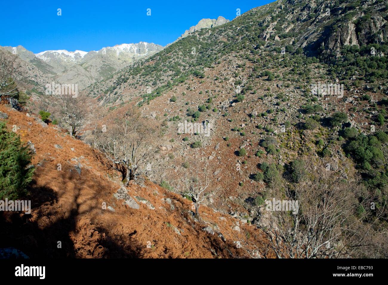 Tejea Valley in Sierra de Gredos Regional Park Candeleda Ávila province ...