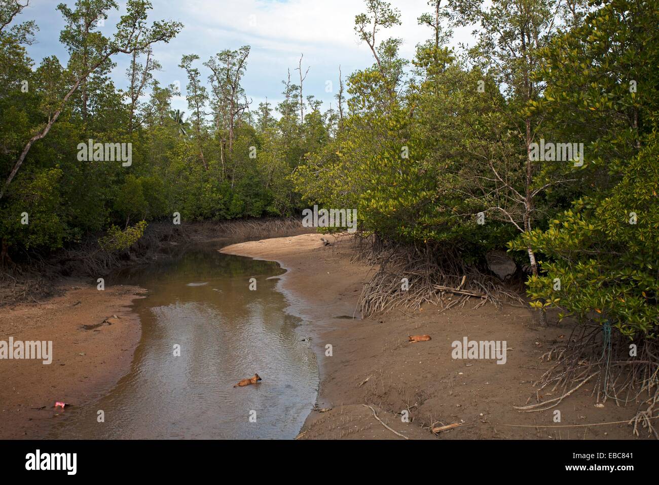 Kampung Pueh, Sematan, Sarawak, Malaysia Stock Photo - Alamy