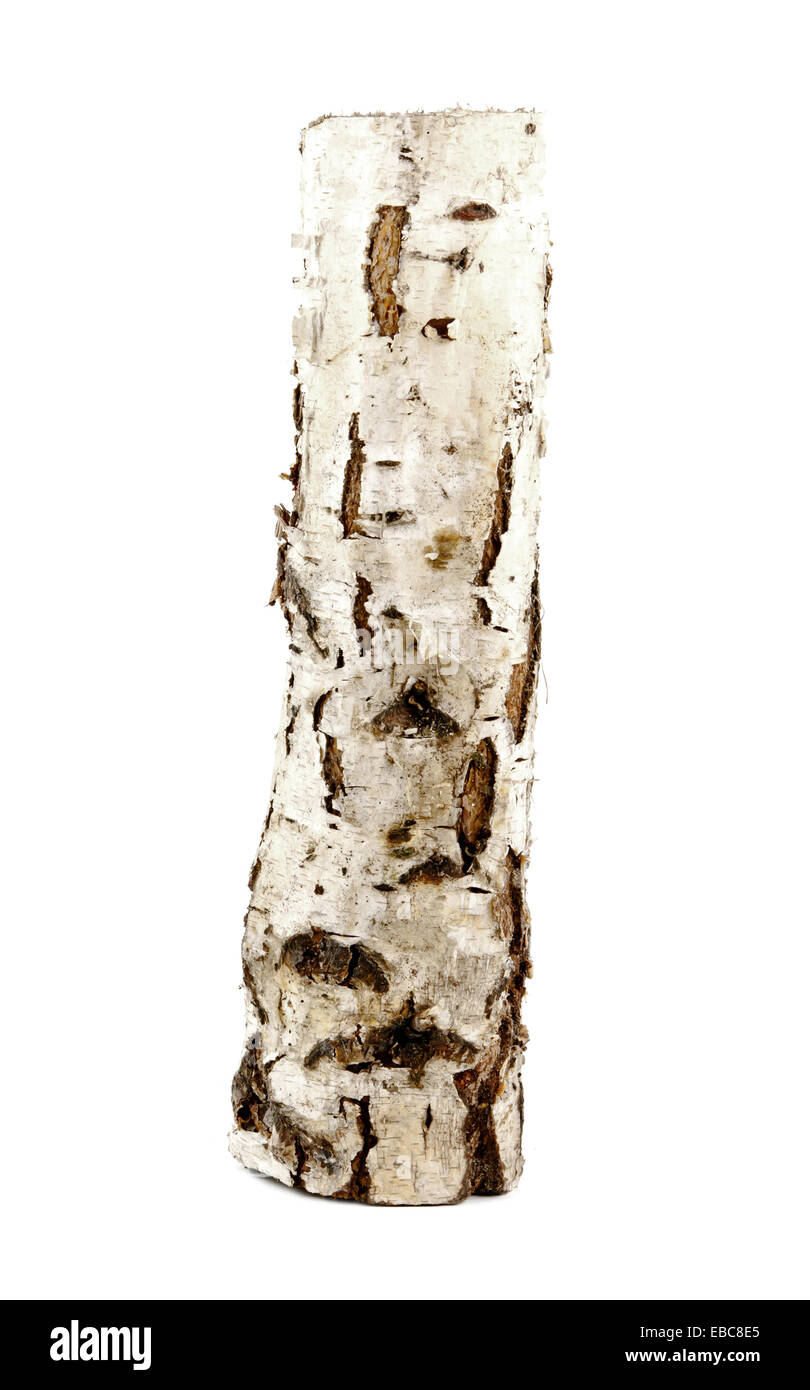 birch log isolated on the white background Stock Photo - Alamy