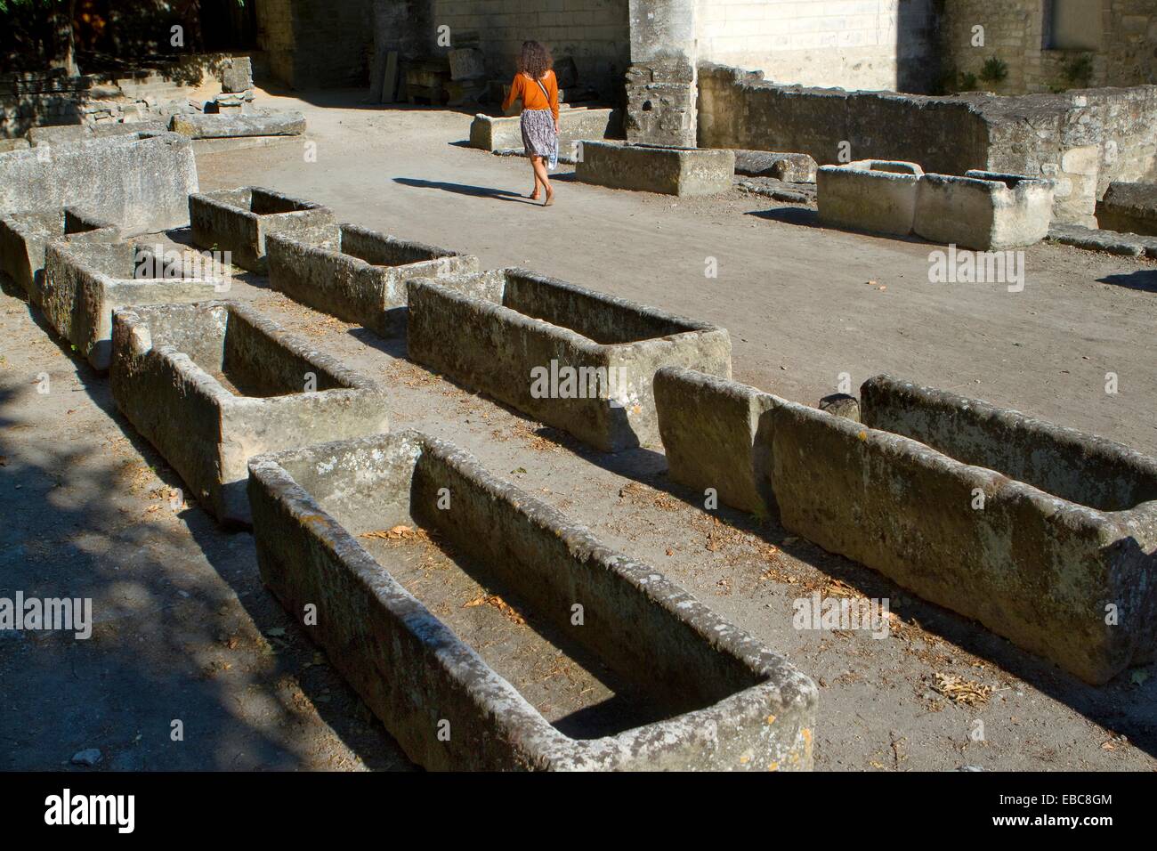 Alyscamps necropolis arles provence france hi-res stock photography and ...