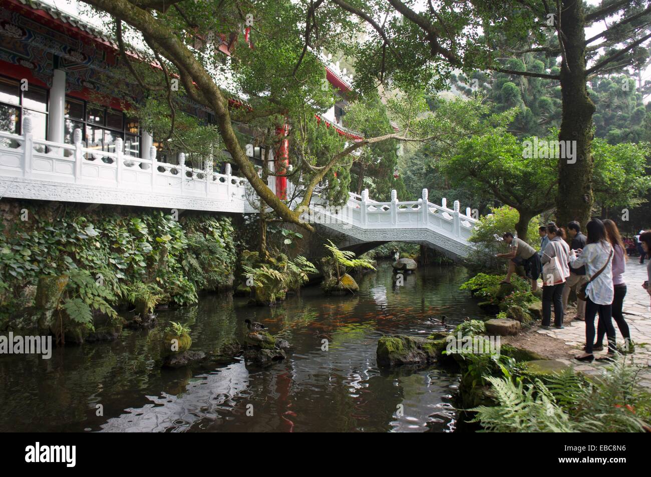 Yang Ming High Resolution Stock Photography and Images - Alamy