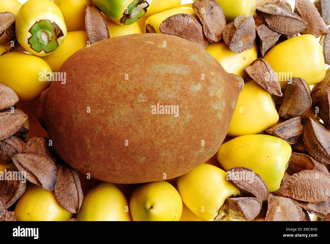 Rain Forest Fruits High Resolution Stock Photography and Images - Alamy