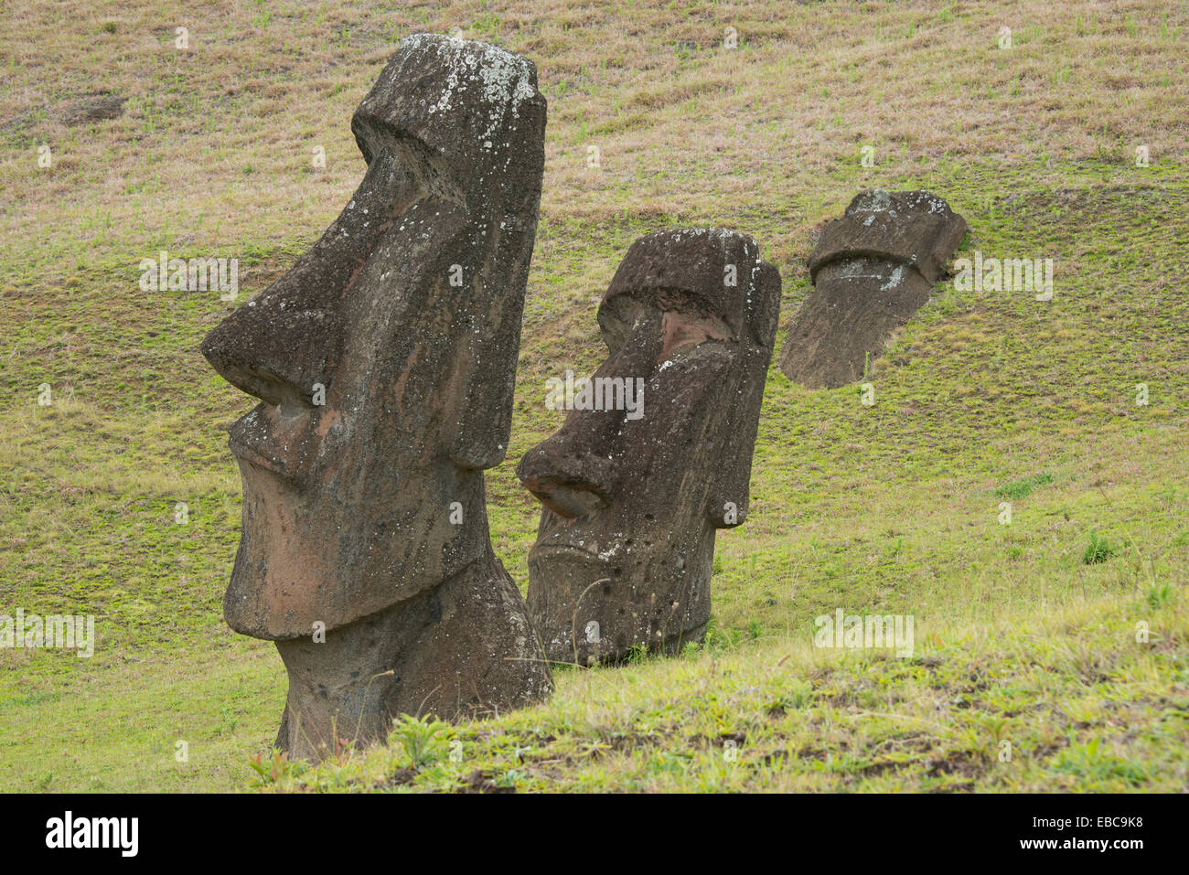 Chile, Easter Island aka Rapa Nui. Rapa Nui National Park, historic ...
